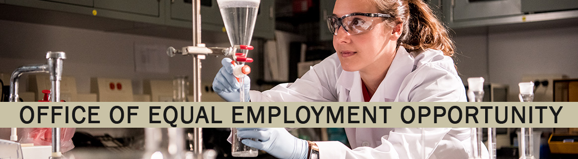 NAVSEA HQ EEO Program
