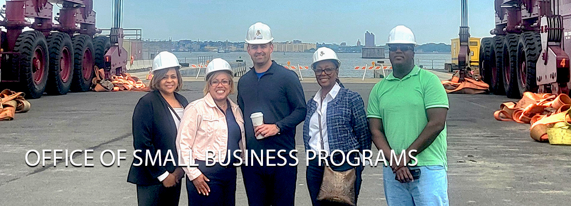 Capitalizing on Small Business for Innovation and Agility