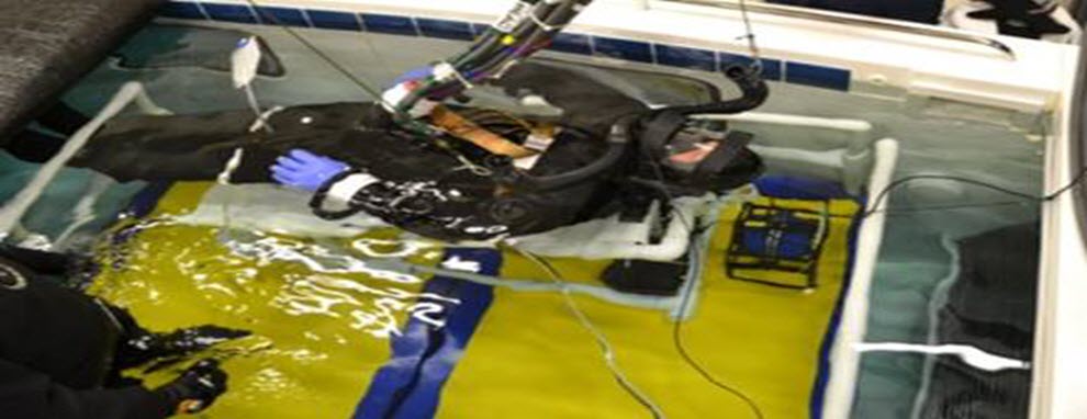 Naval Sea Systems Command > Home > SUPSALV > NEDU > Departments ...