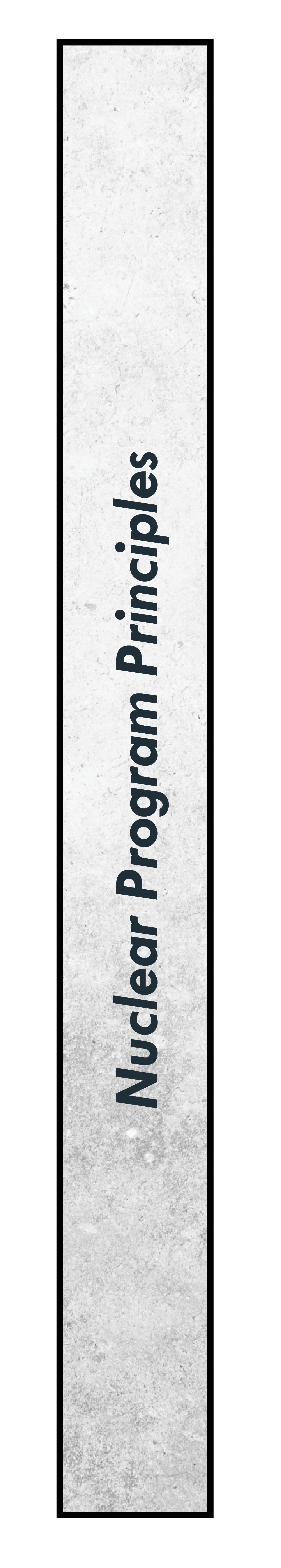 NNSY Nuclear Program Principles